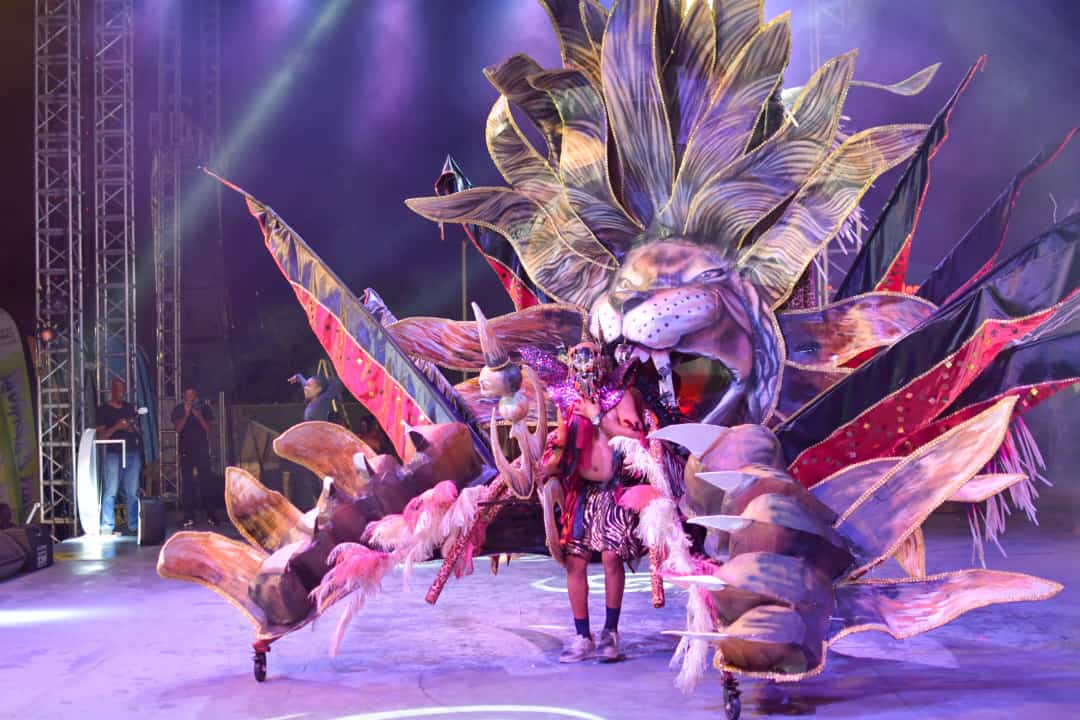 A New King and Queen of the Band Have Been Crowned – Saint Lucia Carnival